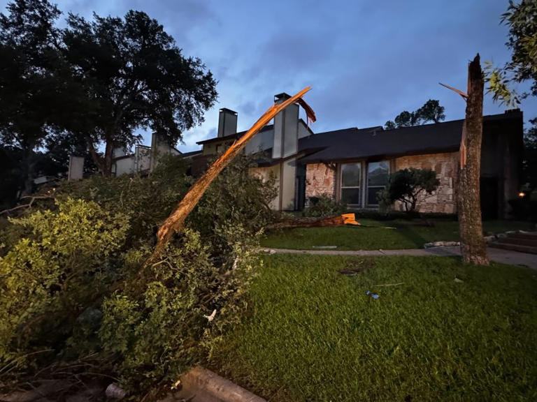 Dawn reveals felled trees, other damage from storms