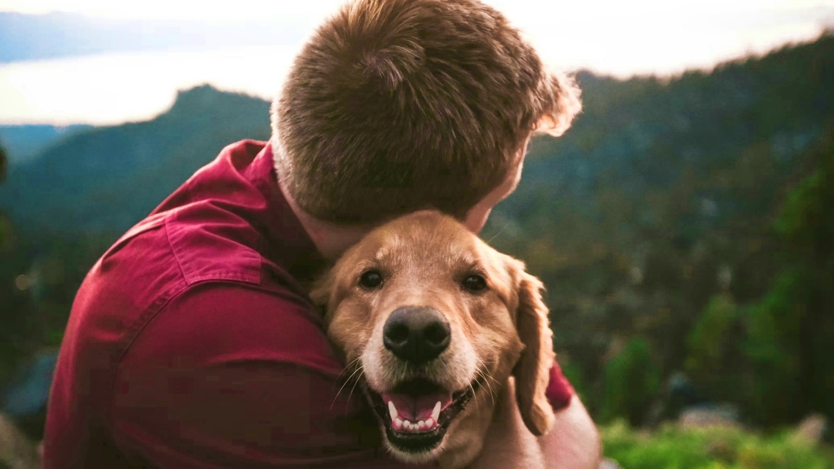 9 things only those who live with a dog every day understand