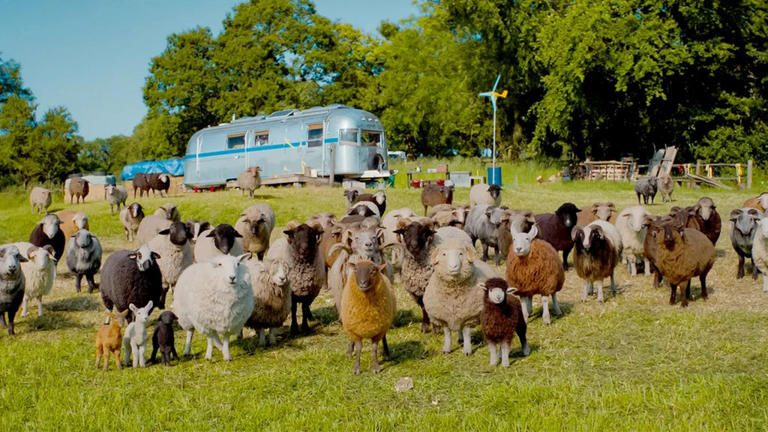 Is The Sheep Detectives Worth Watching?