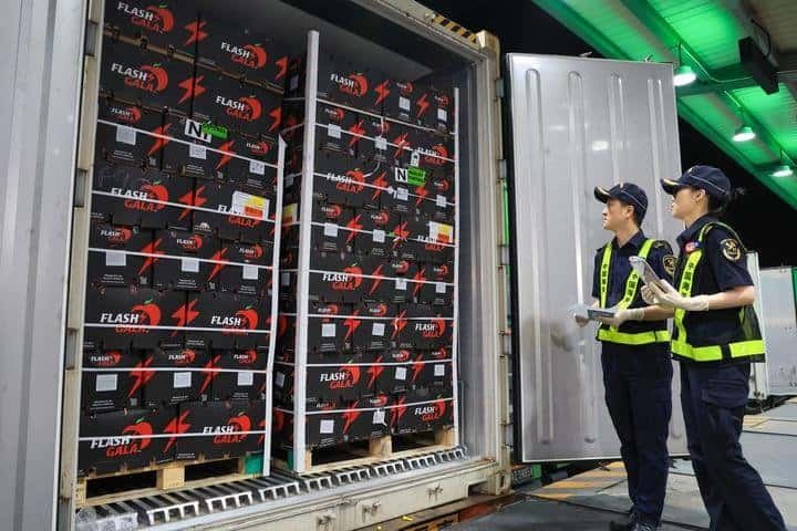 China focus: China implements historic zero tariffs for all African ...