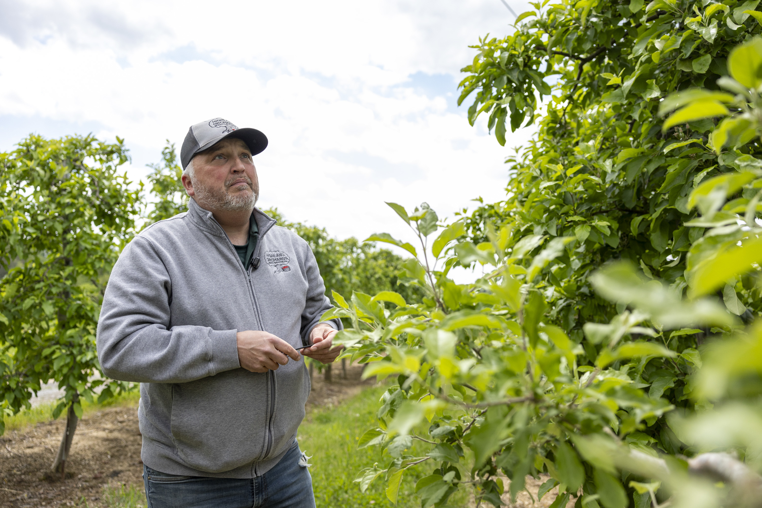 Spring’s bizarre weather caused up to $200 million in lost crops in Pa ...