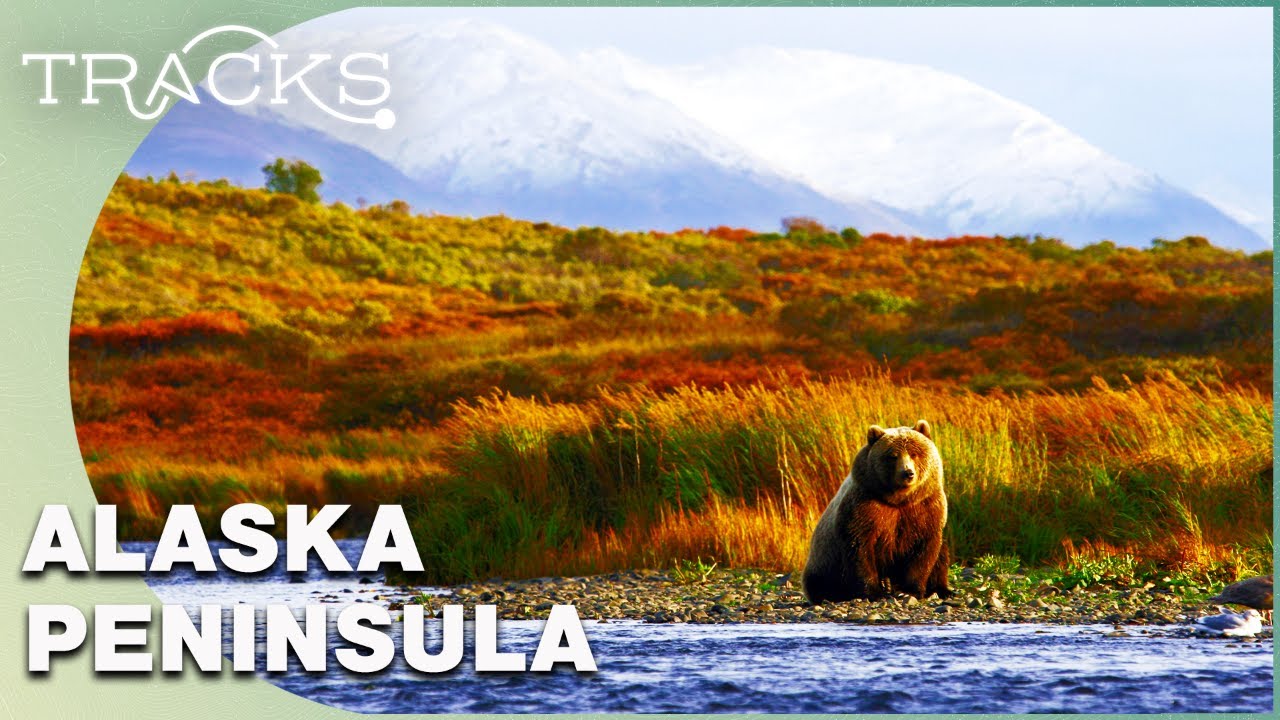 Alaska: Living off the grid