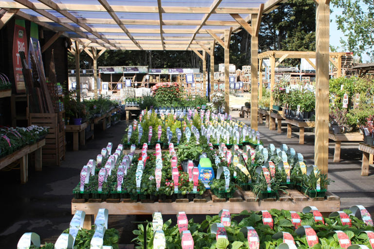Popular Northamptonshire destination celebrates second season as garden ...