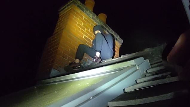 Driver who smashed into wall during police chase caught hiding on roof ...