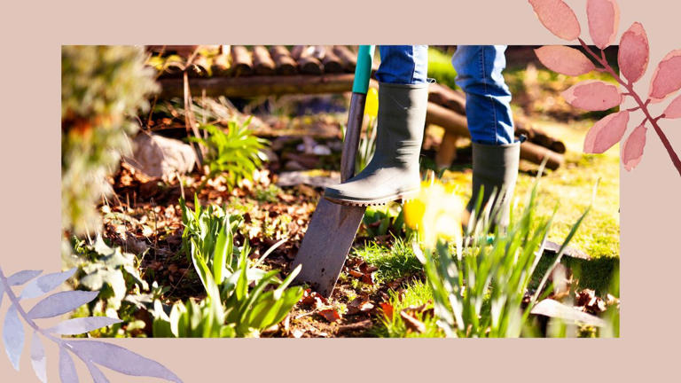 The mood-boosting garden activities we should all be doing