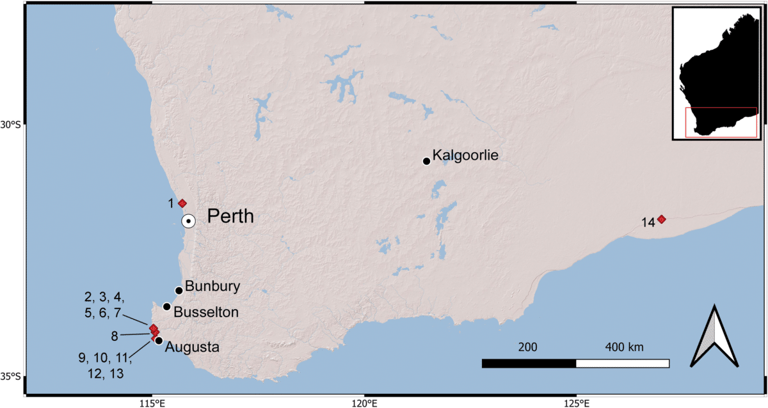 Hidden inside an Australian cave, scientists uncovered fossil fragments ...