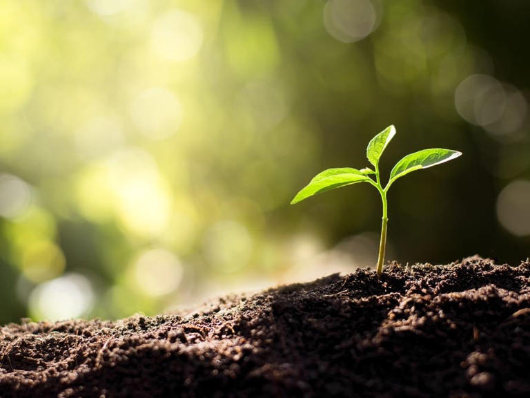 Winners announced for sustainable design challenge