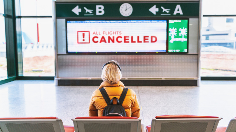 Travel insurance: What is it and do you need it?
