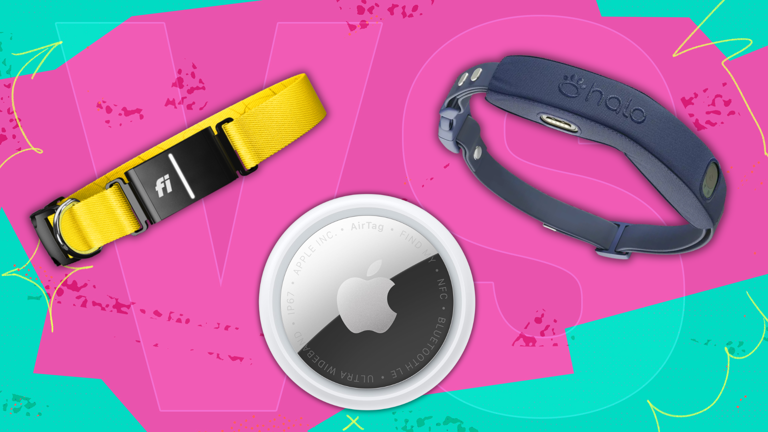 Should you get an AirTag or a GPS tracker for your dog? Experts weigh in.