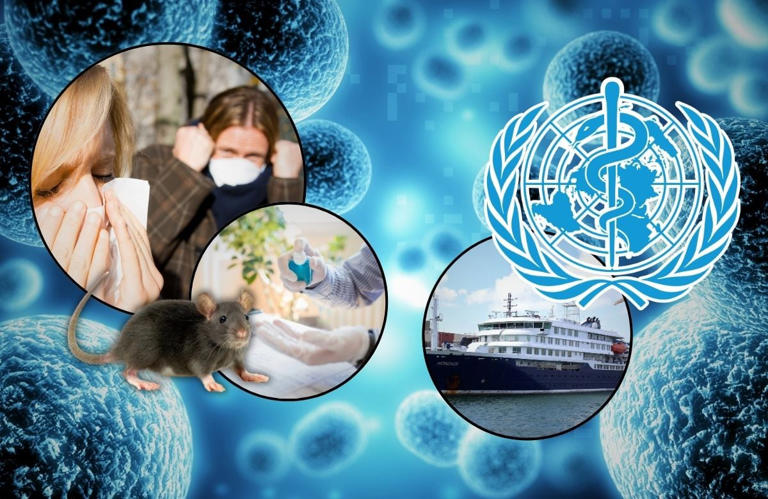 Canadá confirma su primer caso de hantavirus ligado al crucero MV ...
