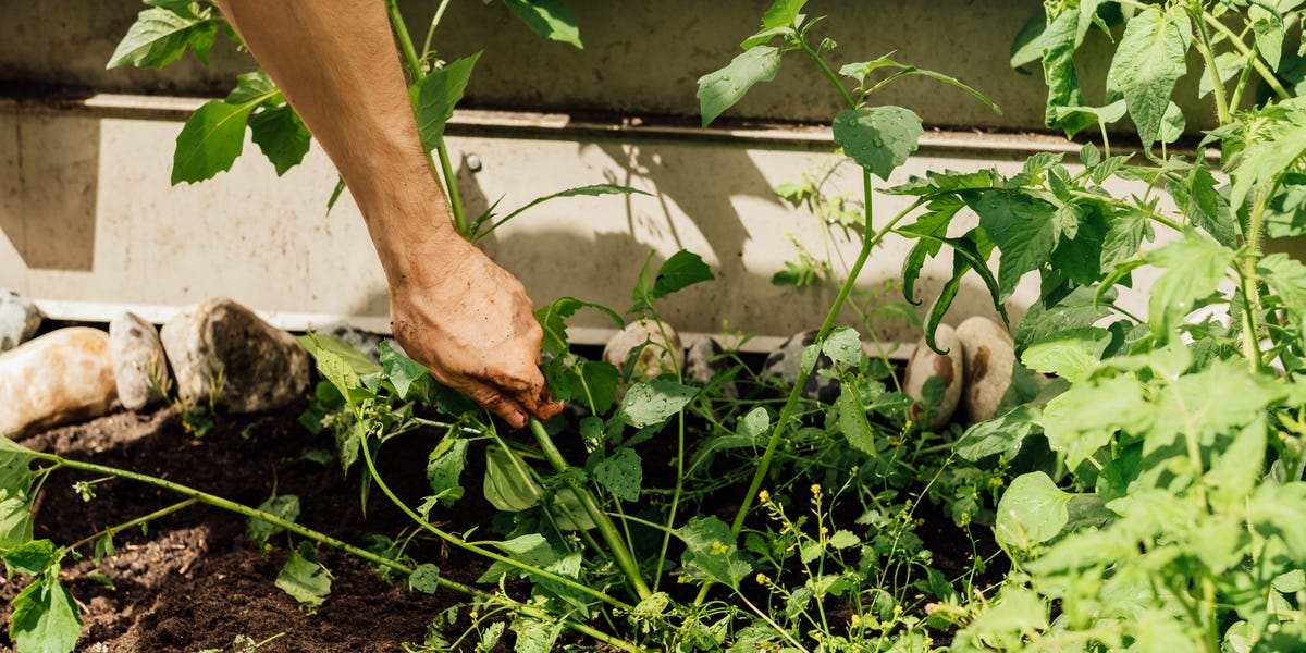 A powerful DIY weed killer is hiding in your kitchen pantry