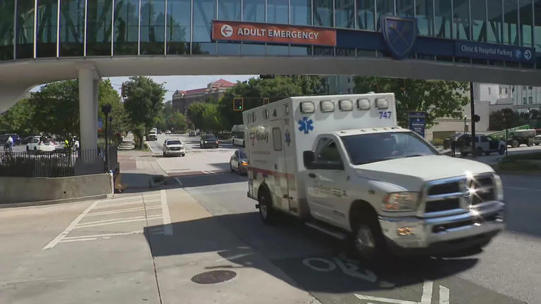 Hantavirus outbreak: 2 from cruise ship taken to Emory Hospital, 1 has ...