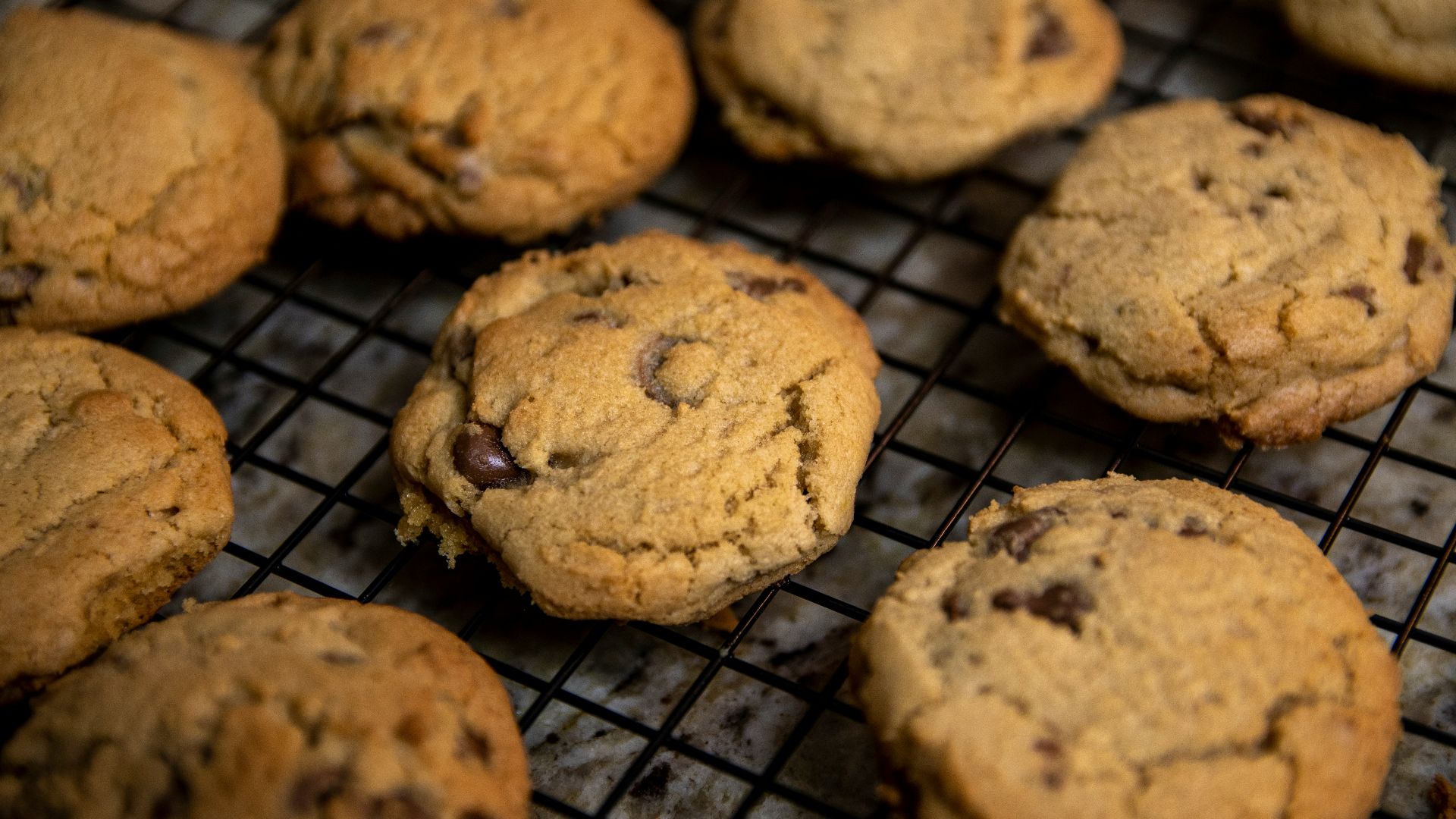 20 best food smells in the world ranked from boring to pure bliss
