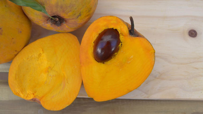 Quase ninguém conhece: fruta com polpa dourada e cremosa tem sabor de ...