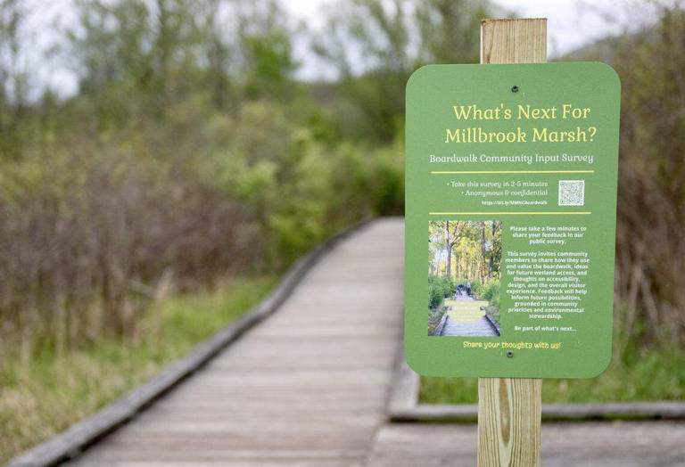 How should Millbrook Marsh's boardwalk be replaced? Community input sought