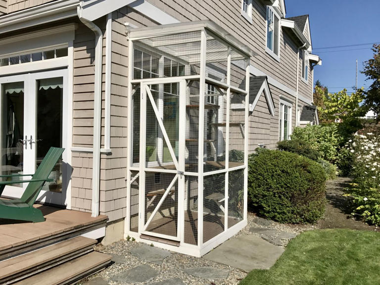 What is a catio? The outdoor upgrade your cat will love