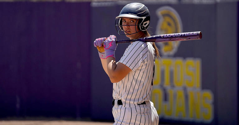 🔴 Live updates: HHS softball vs. Potosi