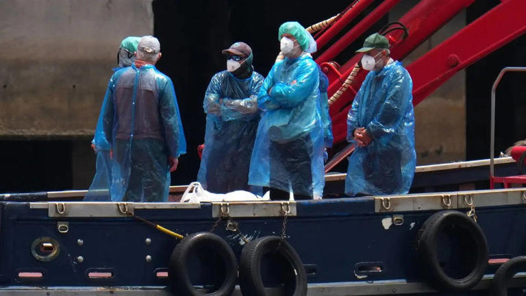 Hantavirus outbreak on cruise ship: Which countries have confirmed cases?