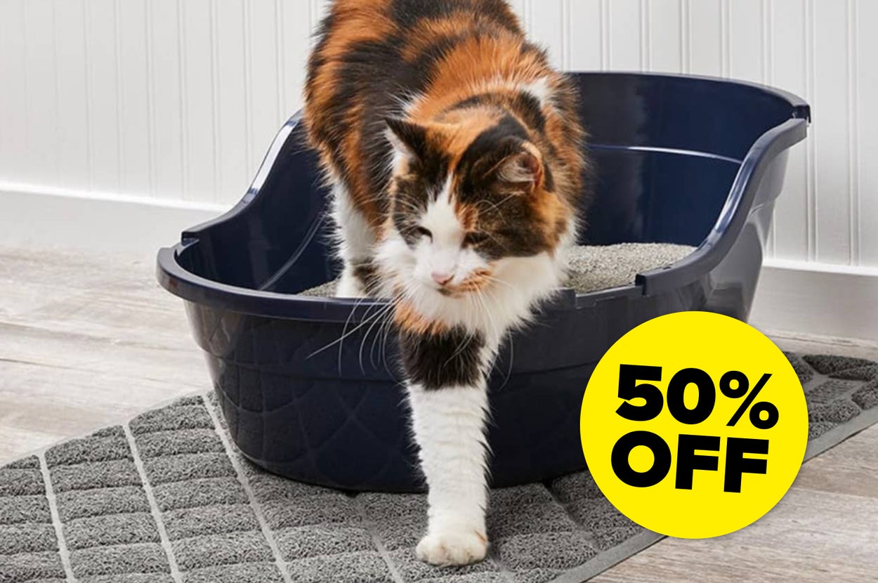 Score big savings during Amazon's Pet Days event