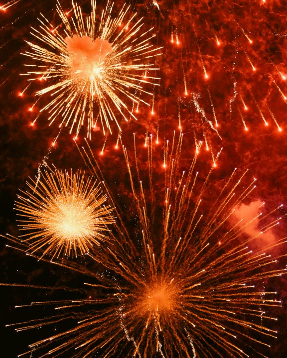 Keeping pets at ease during 4th of July fireworks