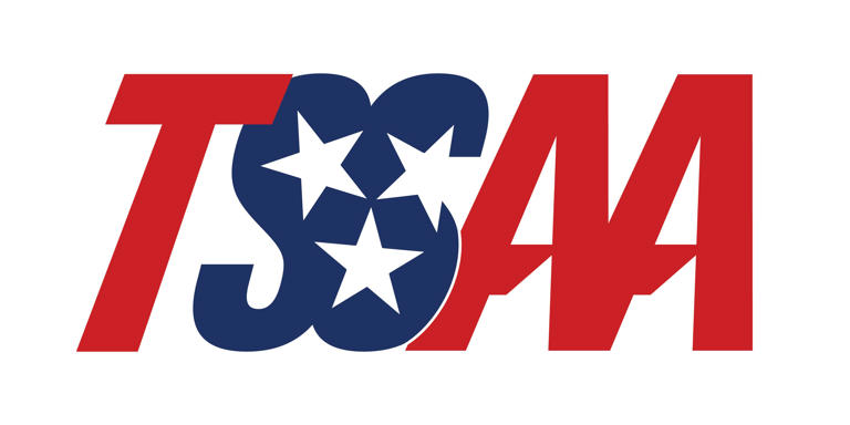 What TSSAA report revealed about controversial state tournament bat ...