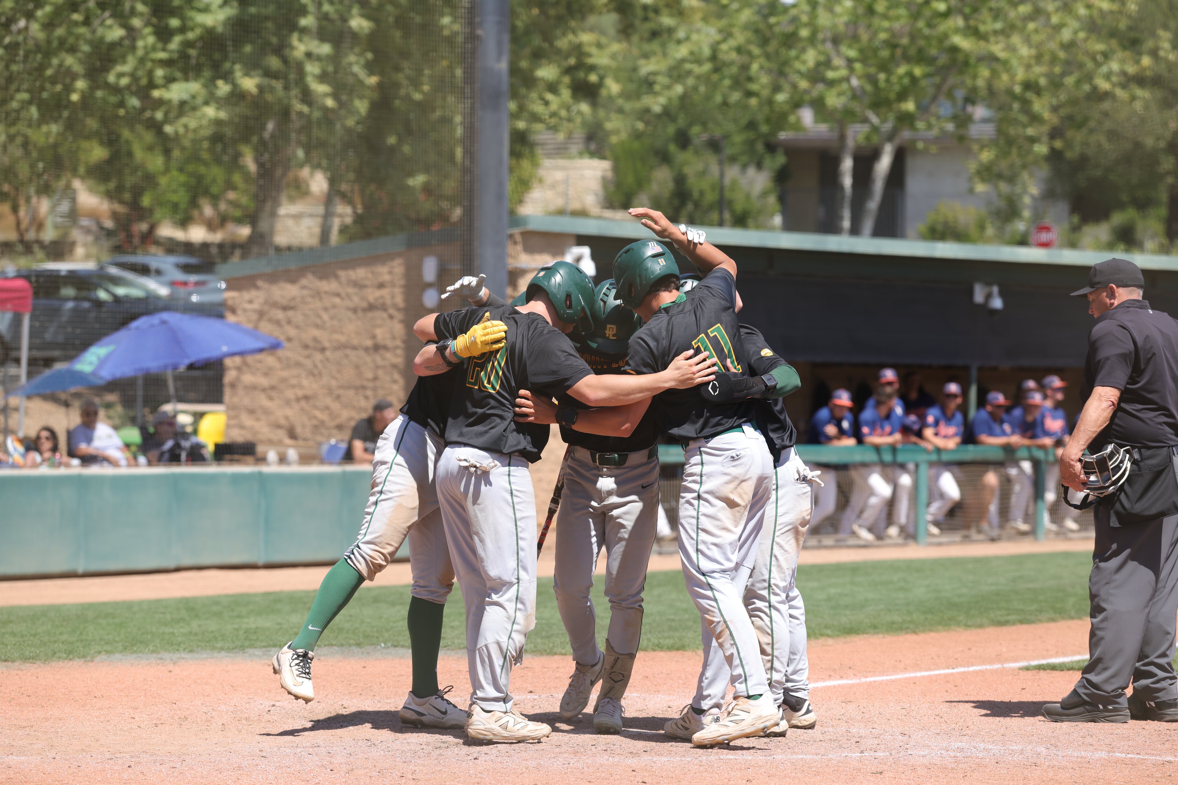 Streaking PLNU baseball program to host NCAA Tournament West Regional