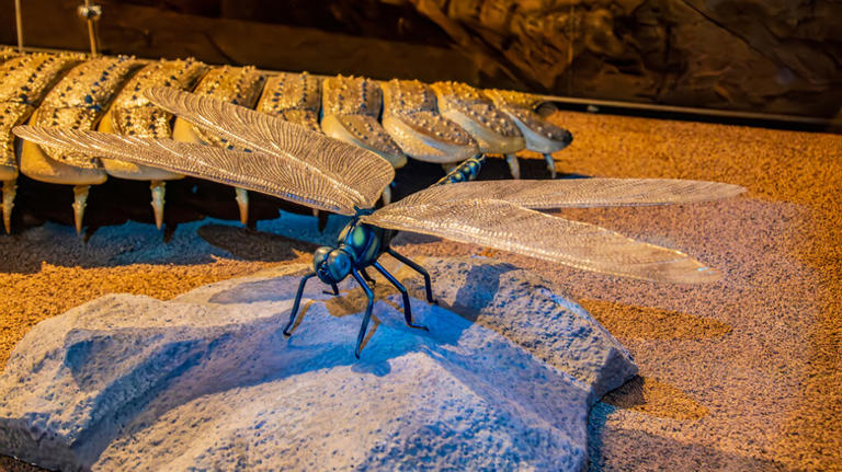 The Prehistoric Insect That's Pure Nightmare Fuel