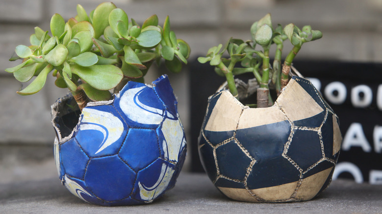 12 valuable thrift store items you shouldn't overlook for your garden