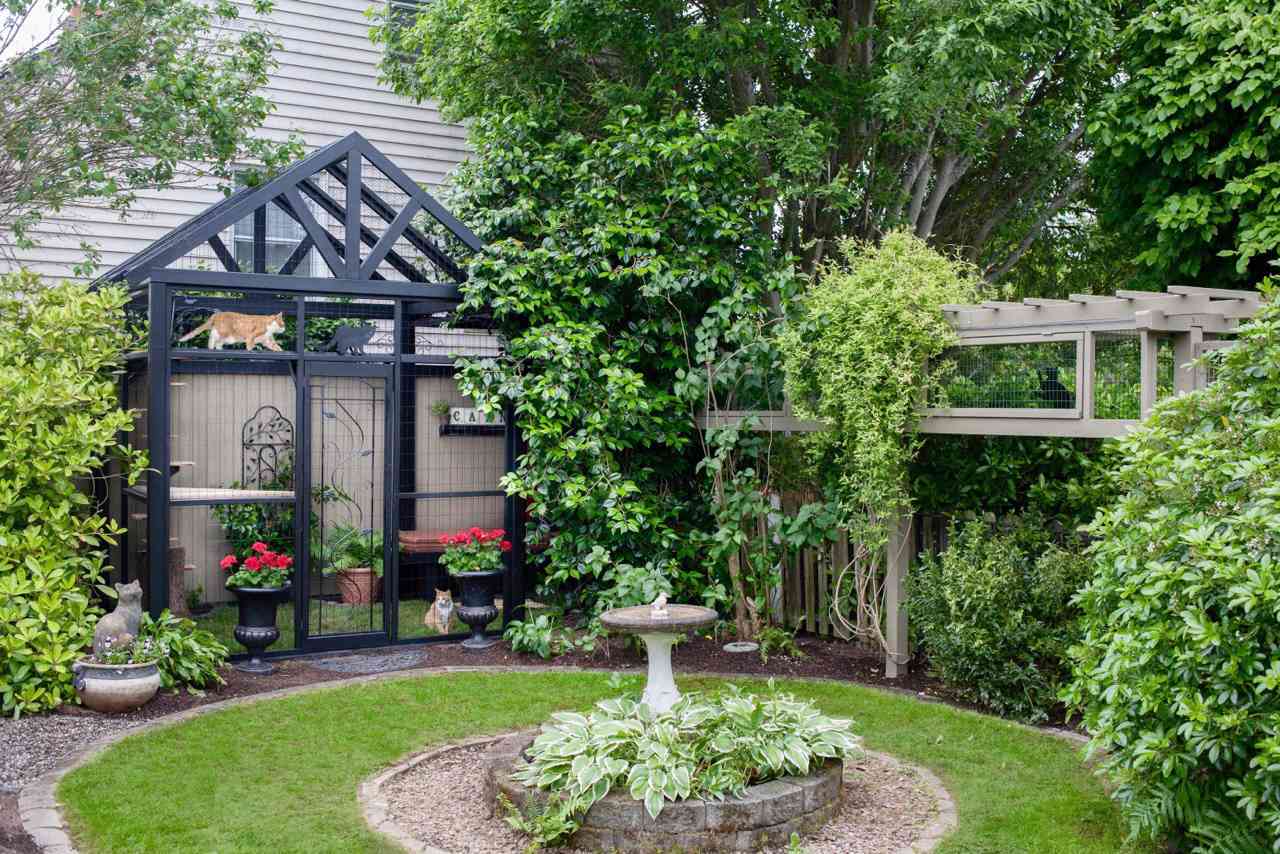 What is a catio? The outdoor upgrade your cat will love