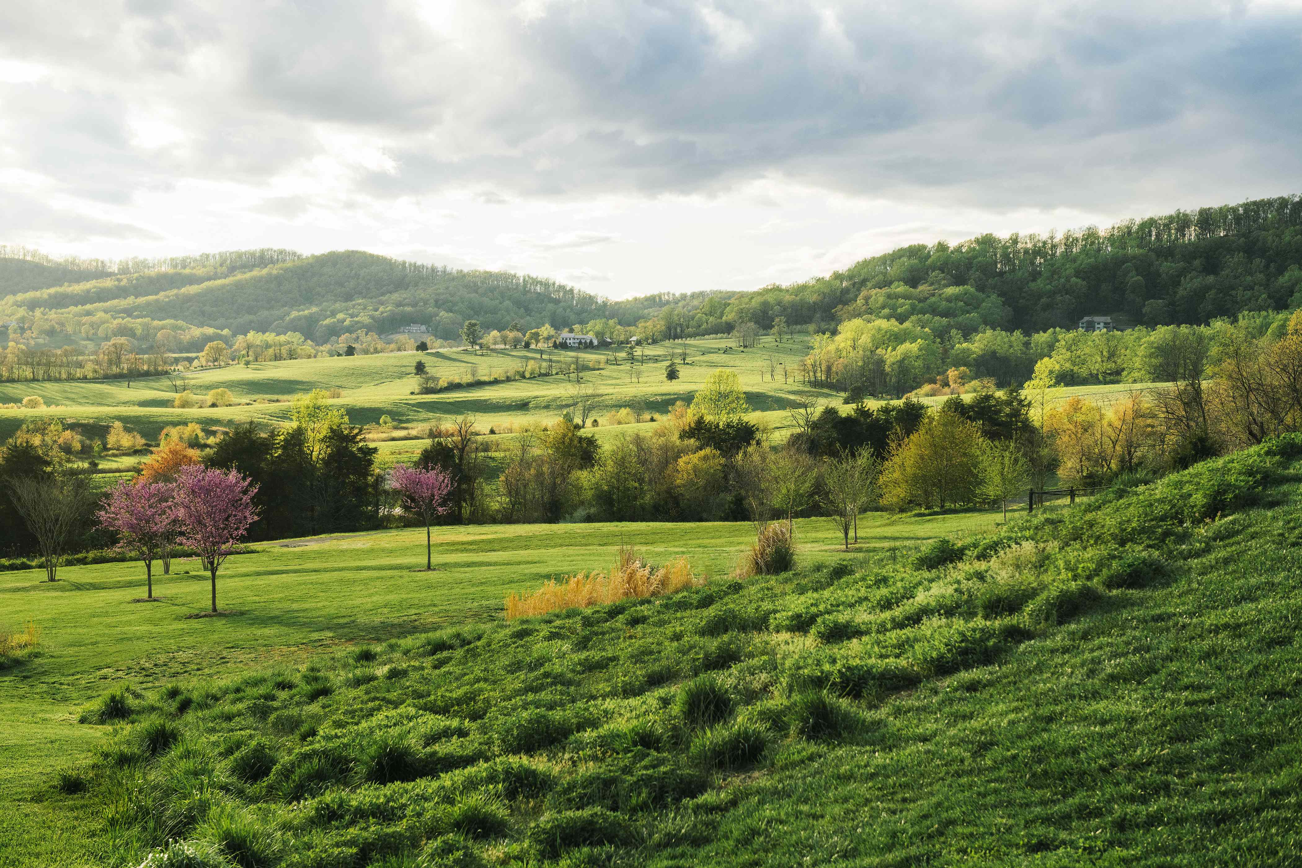I grew up along Virginia’s Blue Ridge Parkway—and these 5 towns keep ...