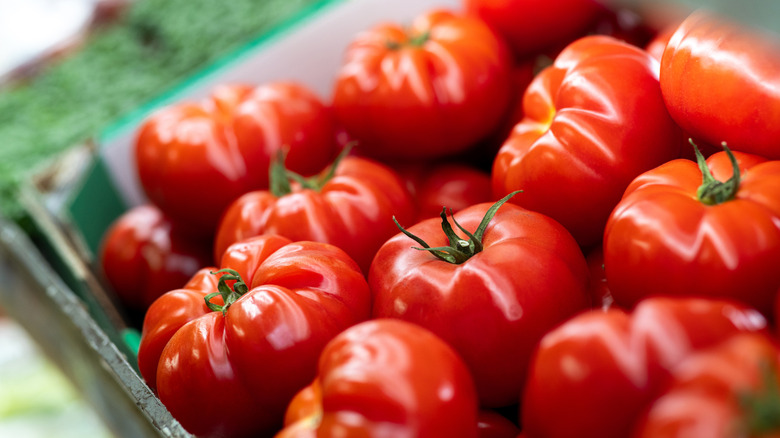 You might be storing tomatoes the wrong way — here's what to do instead