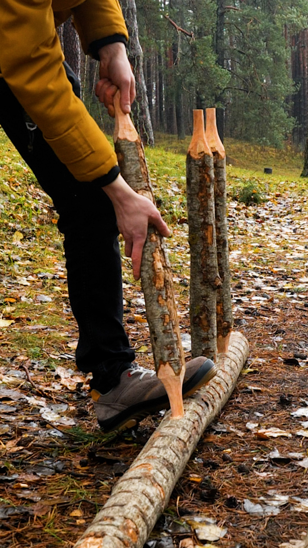 Bouw je eigen campingladder met deze handige gids