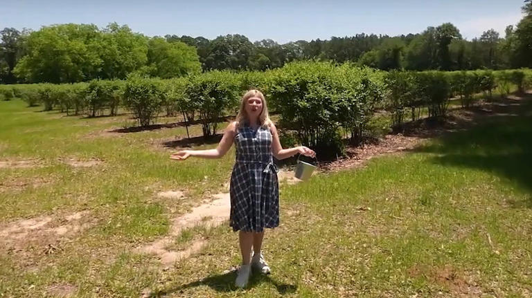 Alabama's underrated city near Florida's Panhandle offers scenic ...