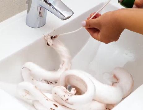Badezimmerfreuden: Halte deinen Raum strahlend und tidy!