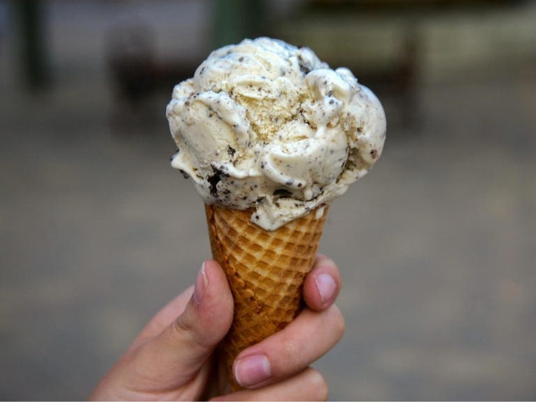 New ice cream parlor opens in Princeton