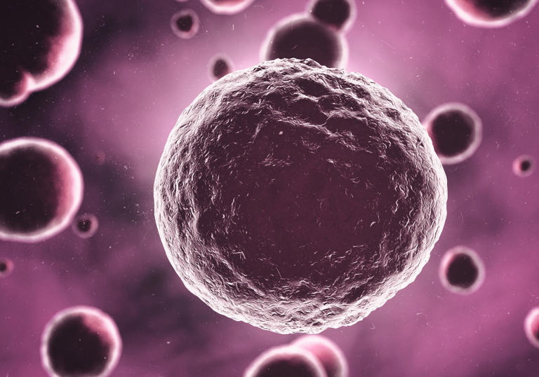 OMS revela los hábitos que ayudan a prevenir distintos tipos de cáncer