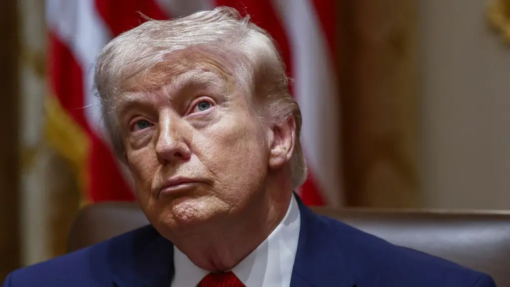 Trump targets Fox News anchor, implies she’s incompetent