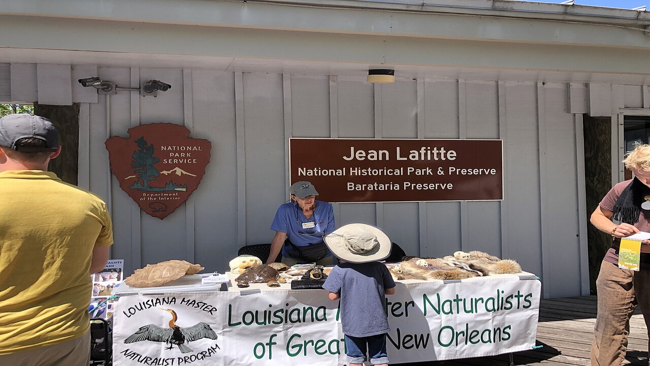 Alligators, battlefields and Cajun soul: Louisiana’s best national park ...