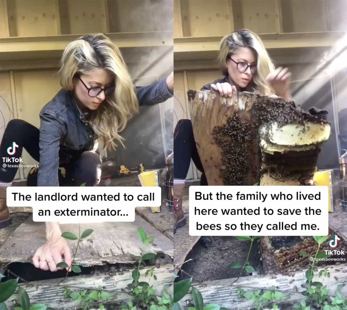 This beekeeper is trending for saving the bees