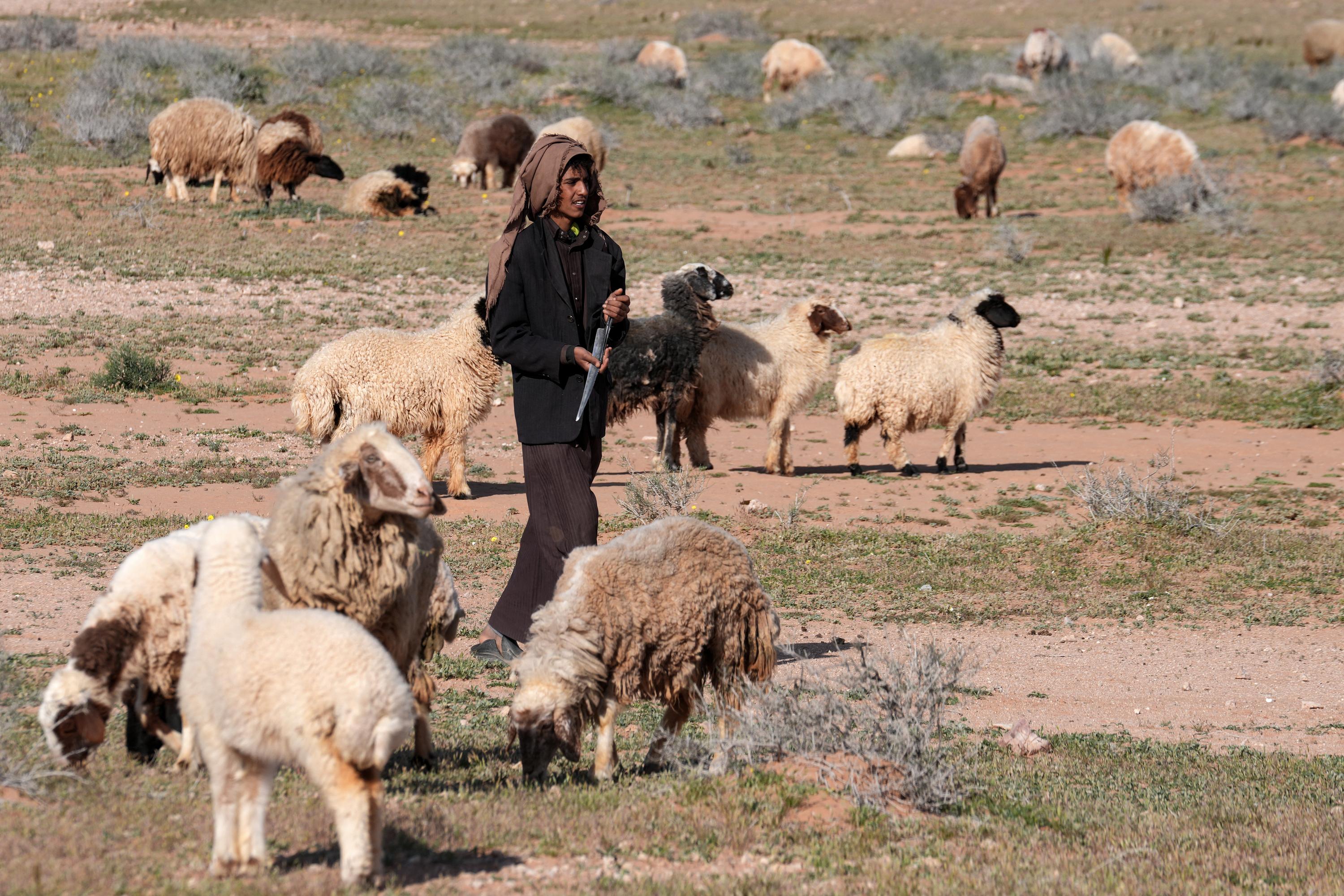 Guerre au Moyen-Orient : un berger a découvert une base secrète ...