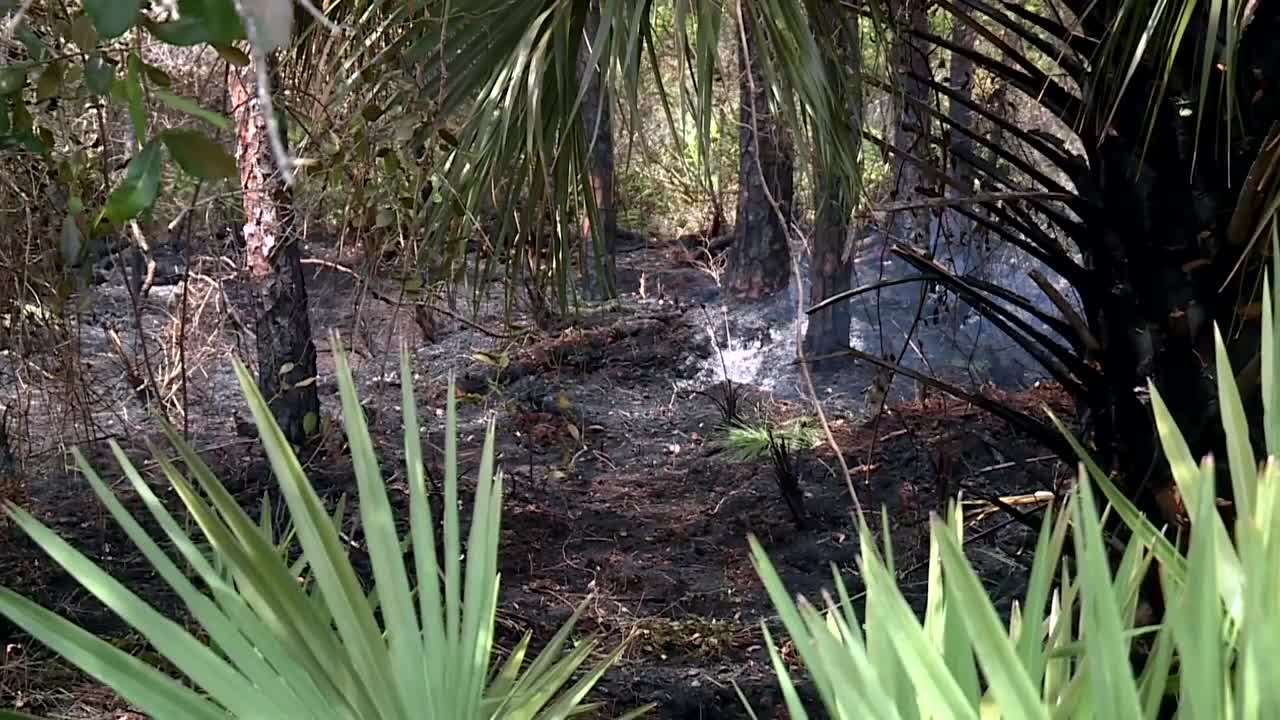 Outdoor fires up 12% in Martin County during peak season