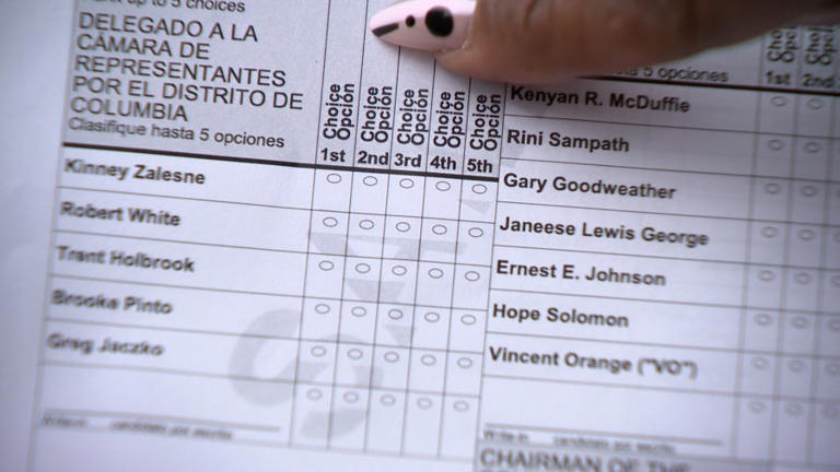 DC set to use ranked choice voting in first ever election