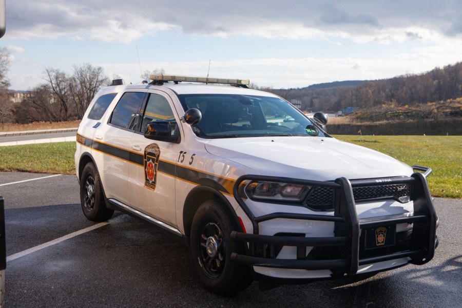 Woman escapes alleged kidnapping by running into traffic, Dauphin ...