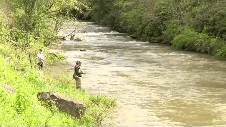 Annual fishing derby draws 200+ anglers; supports Ridgway Catholic ...