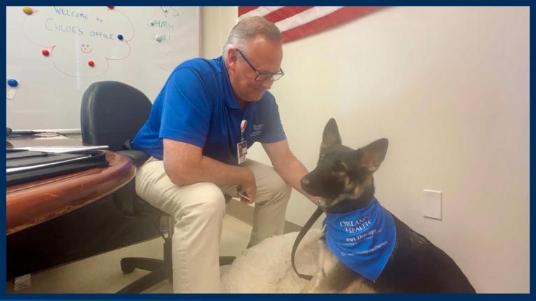 Orlando Health Melbourne Hospital introduces pet therapy program