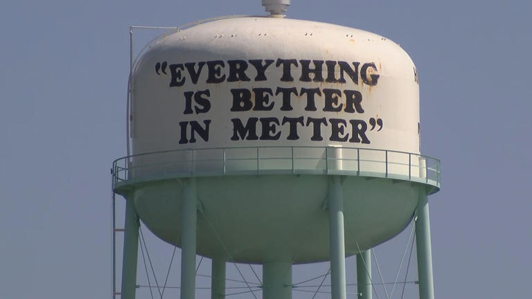 Metter mayor to host first town hall meeting after 100 days in office