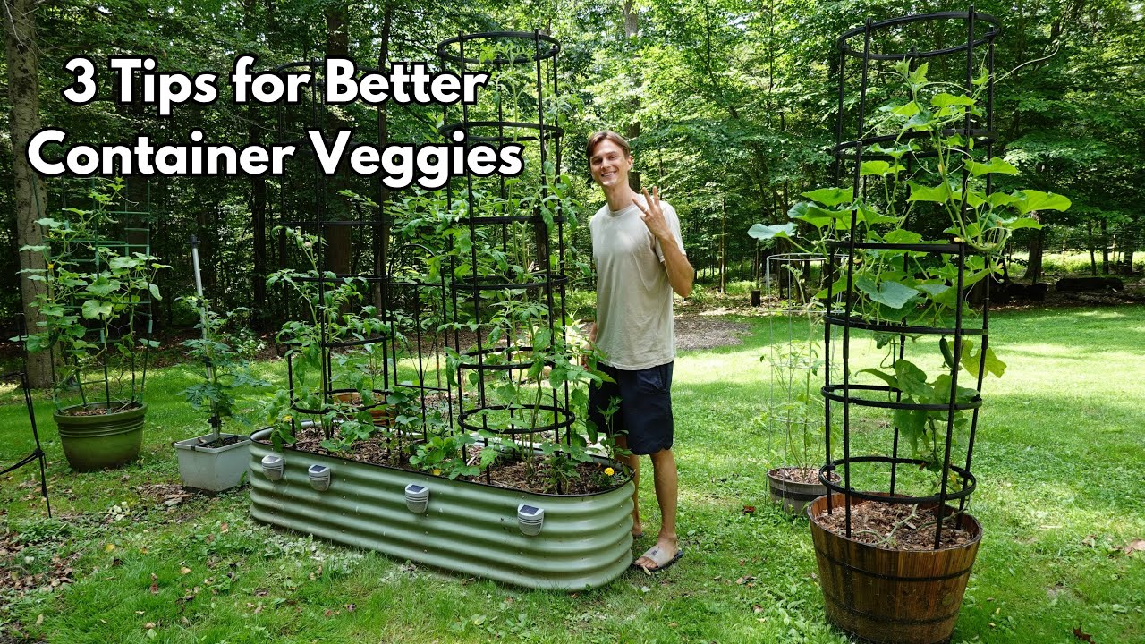 3 tips for container grown veggies - easier care & better harvest