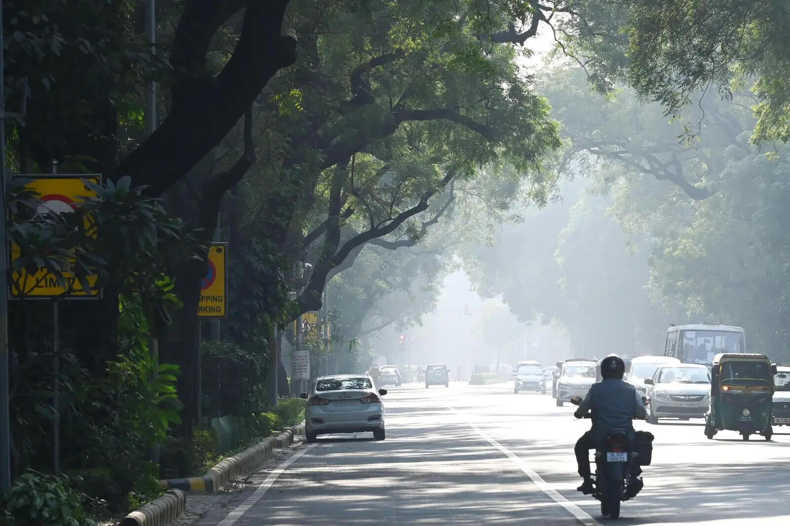 More trees doesn’t always mean less heat: IIT-Gn study