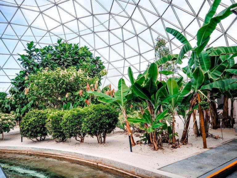Disney World tour review – Behind the Seeds at EPCOT