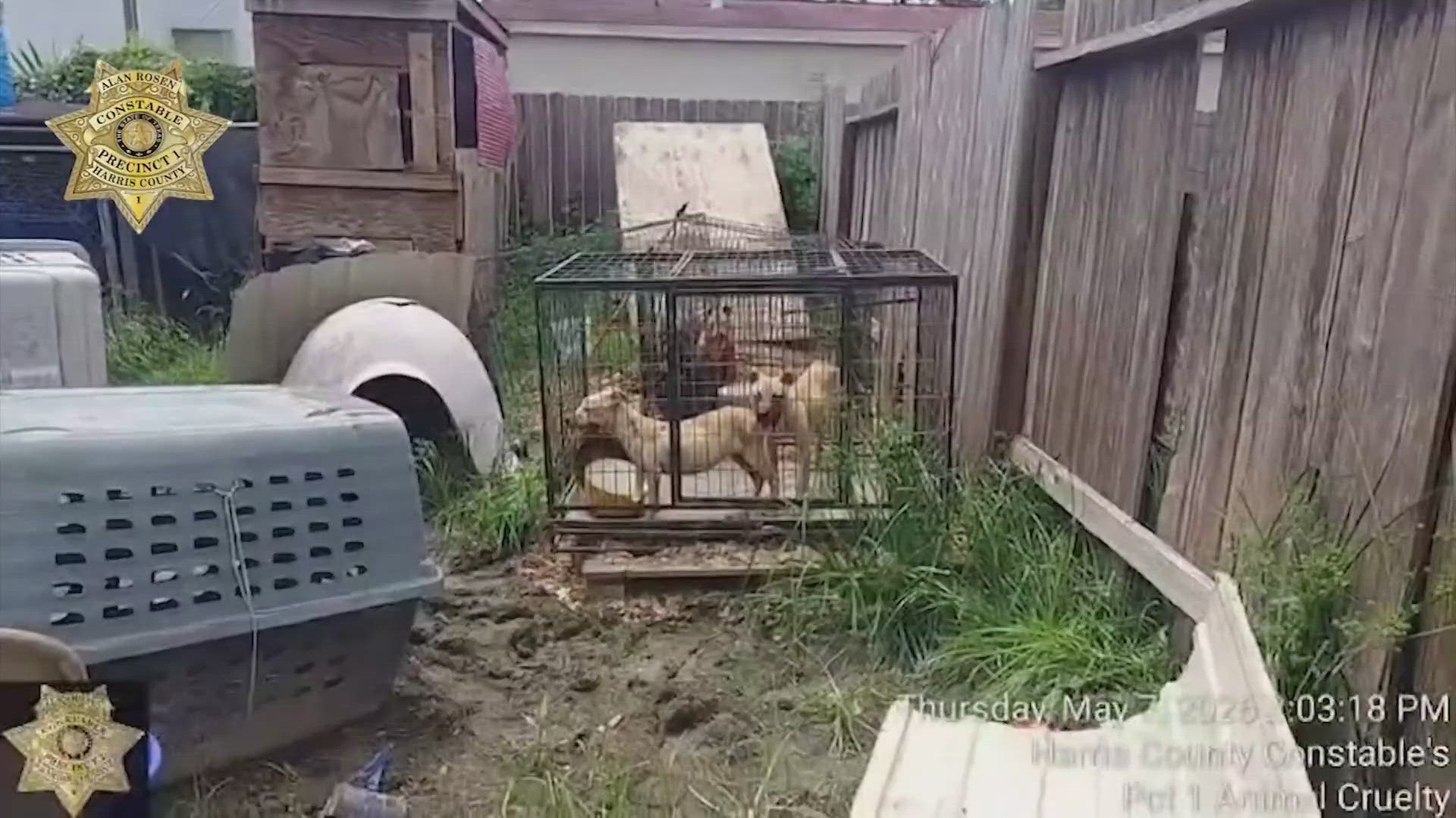 18 dogs rescued in Harris County